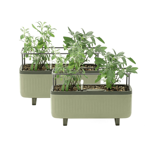 Vego Garden 2 Pack Self-Watering Herb Planter Box with Trellis Sage Gr ...